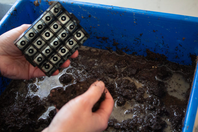 Soil Blocking For Beginners - Little Bites Of Joy